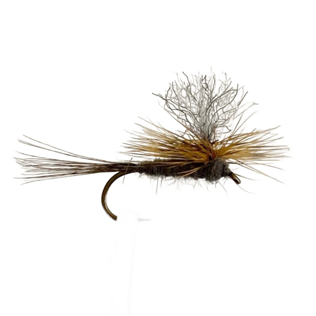 Aussie Adams Dry Flies X 6 – essential Flyfisher