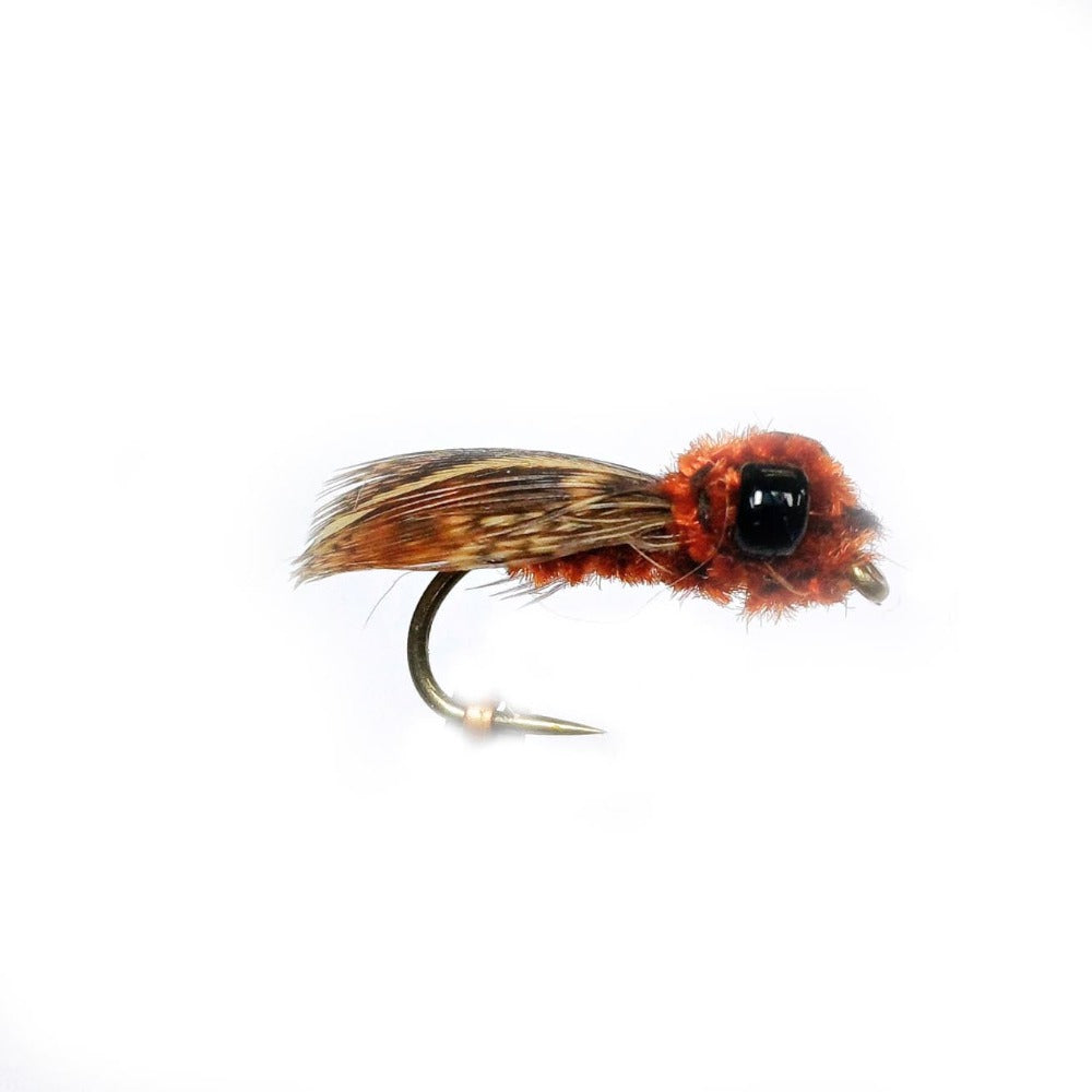 Mudeye - Spider - Brown - flies x 6 – essential Flyfisher