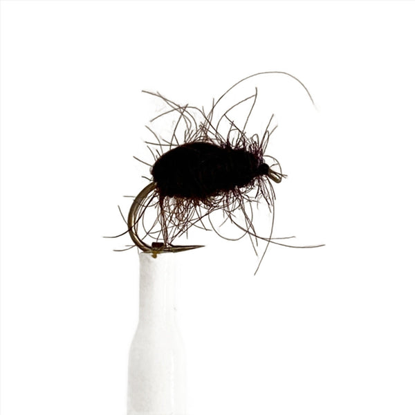 Fiery Brown Beetle Flies X 6 – essential Flyfisher