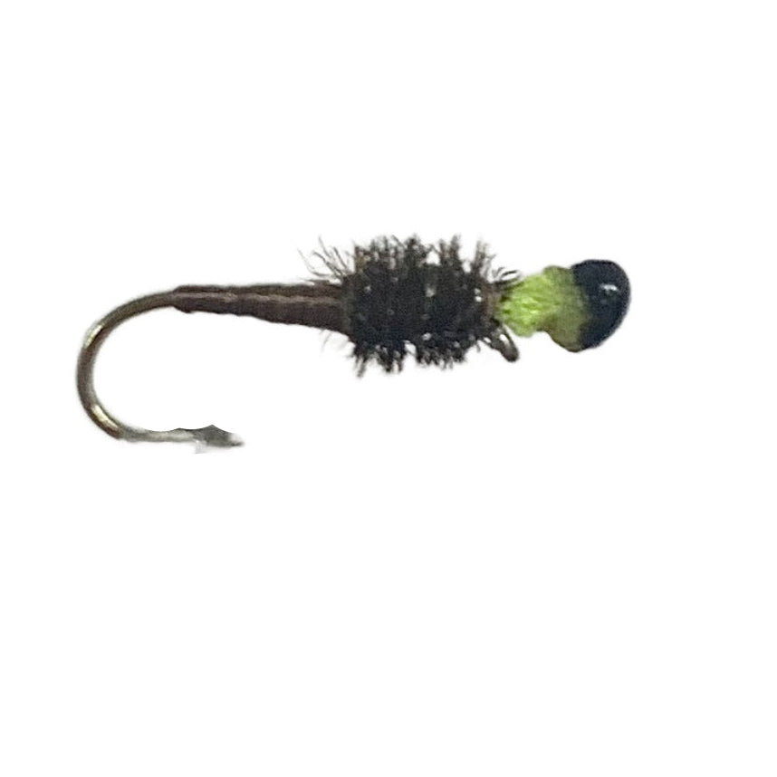 Peeping Stick Caddis Flies X 6 – essential Flyfisher