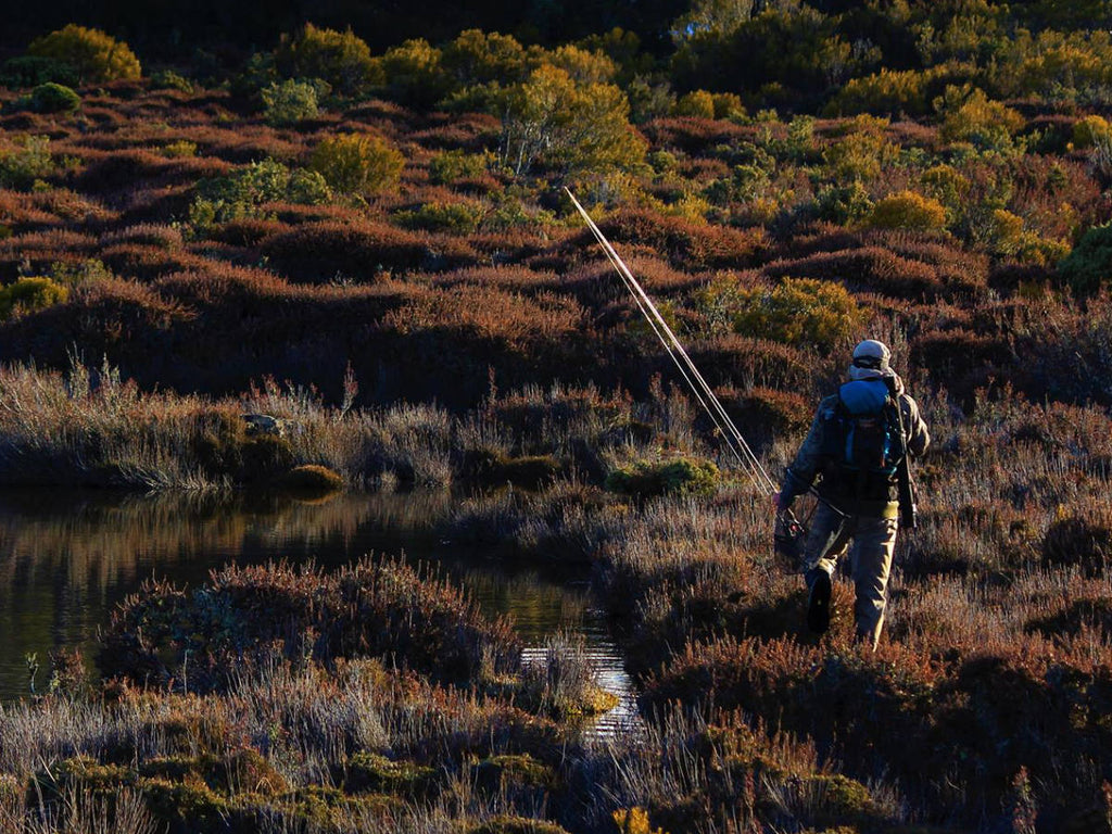 How to Choose a Fly Rod Weight for Beginners | Video Guide – essential ...