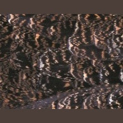 Grouse Body Plumage 2G - Veniard – essential Flyfisher