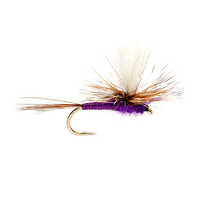 Purple Haze Parachute Adams Dry Fly X 6 – essential Flyfisher